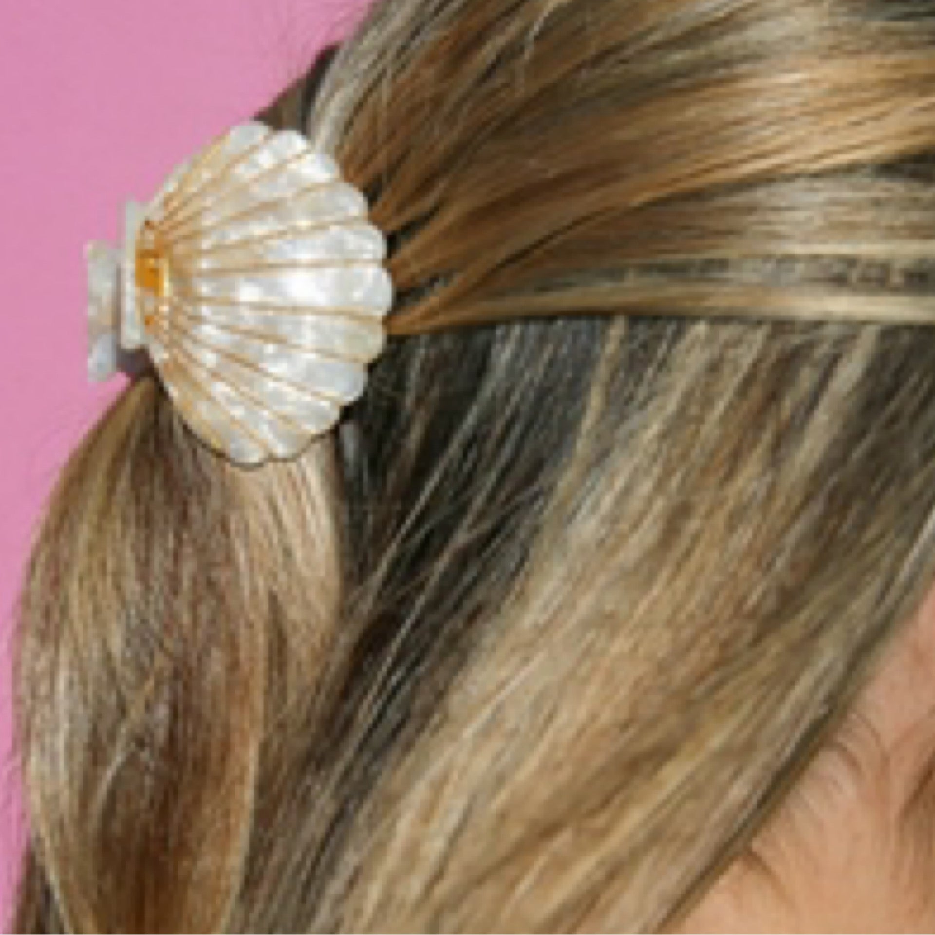 Pearl Shell Claw | The Petal Folk/ Muswellbrook florist