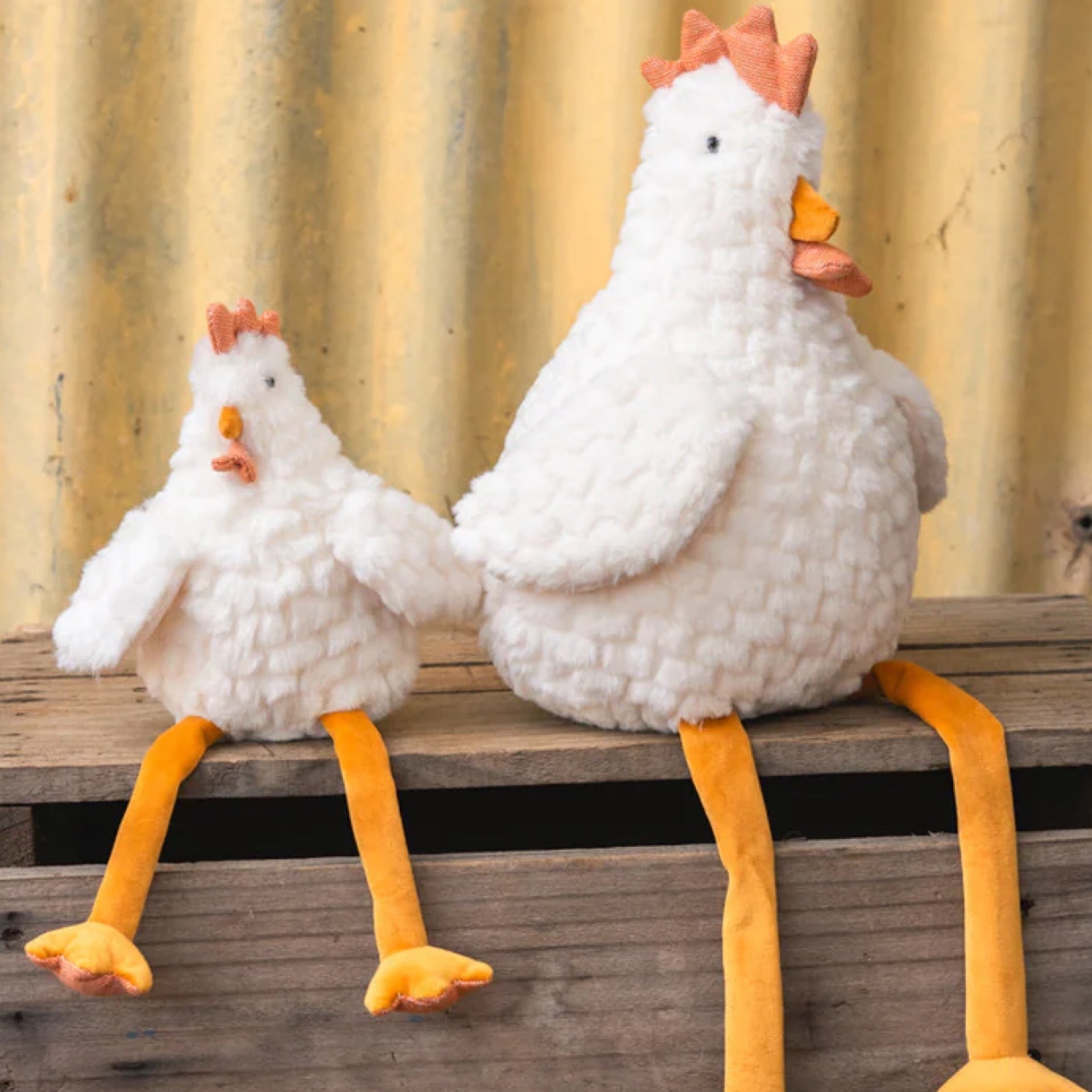 Charlie the chicken | The Petal Folk/ Muswellbrook florist