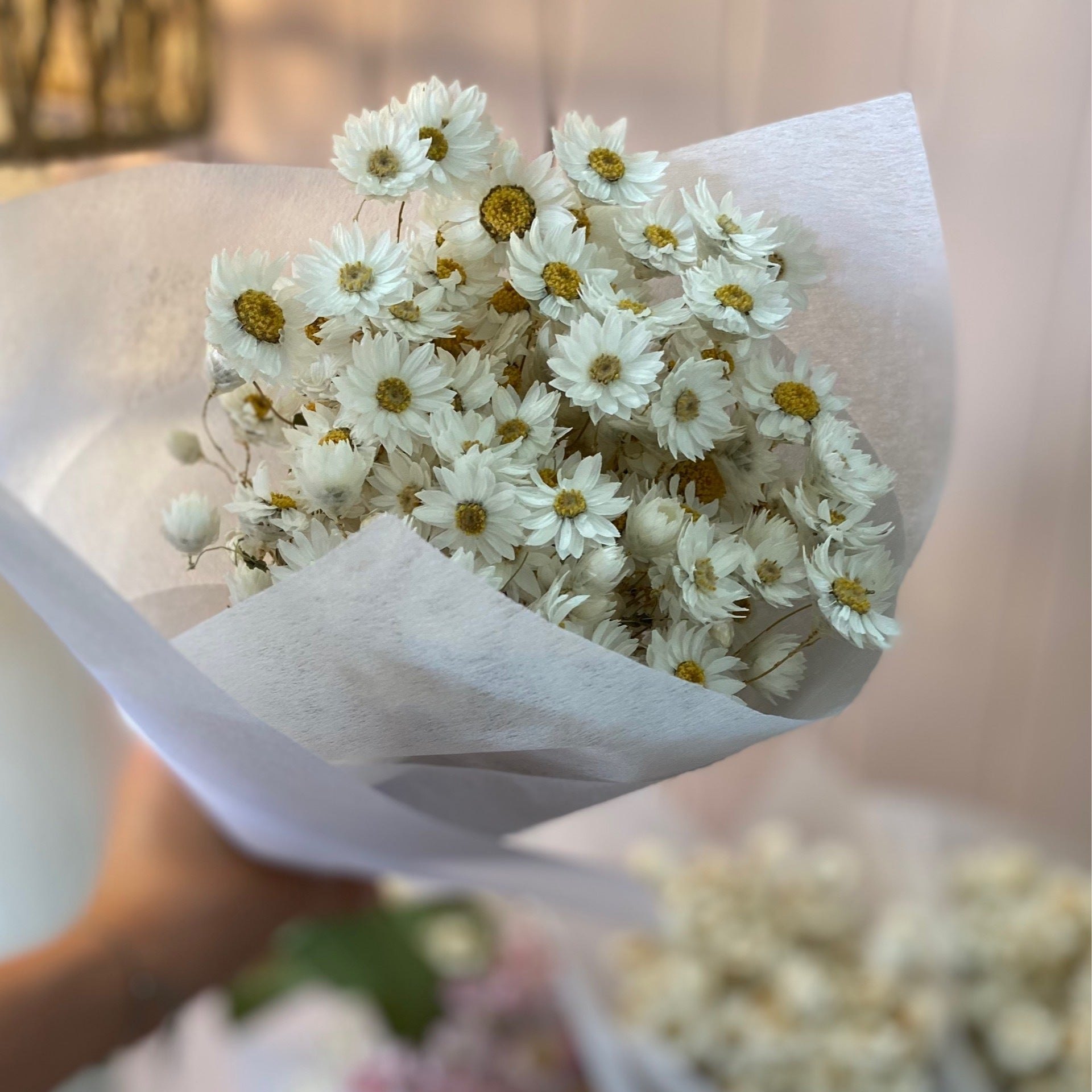 Dried Daisy bunch | The Petal Folk/ Muswellbrook florist