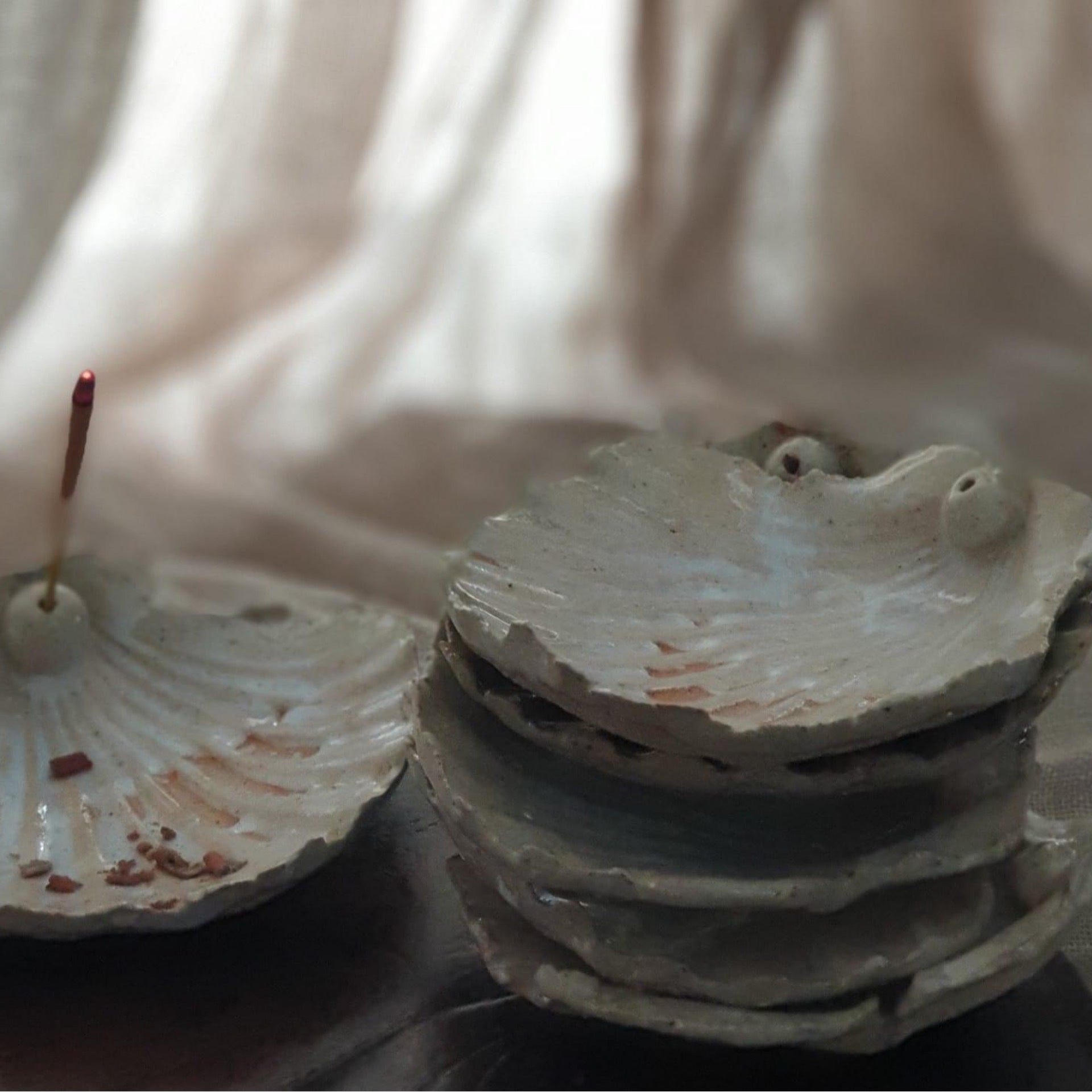 Shell incense holder | The Petal Folk/ Muswellbrook florist