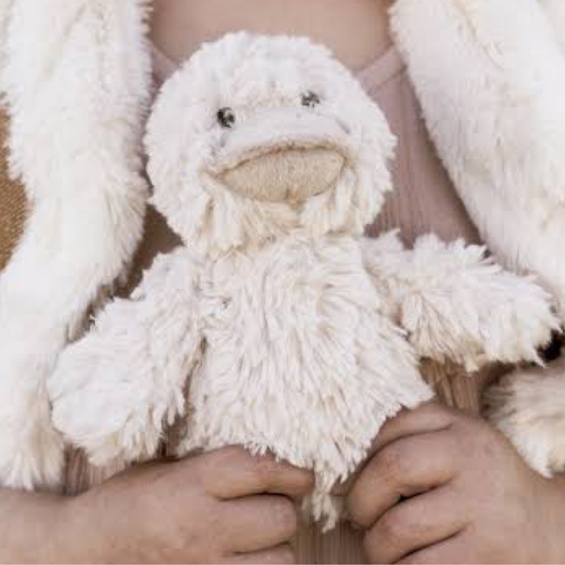 Mini Bill the Duck rattle | The Petal Folk/ Muswellbrook florist